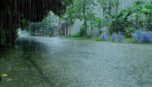 How Weather can affect WI-FI signals – Savanna Fibre Internet