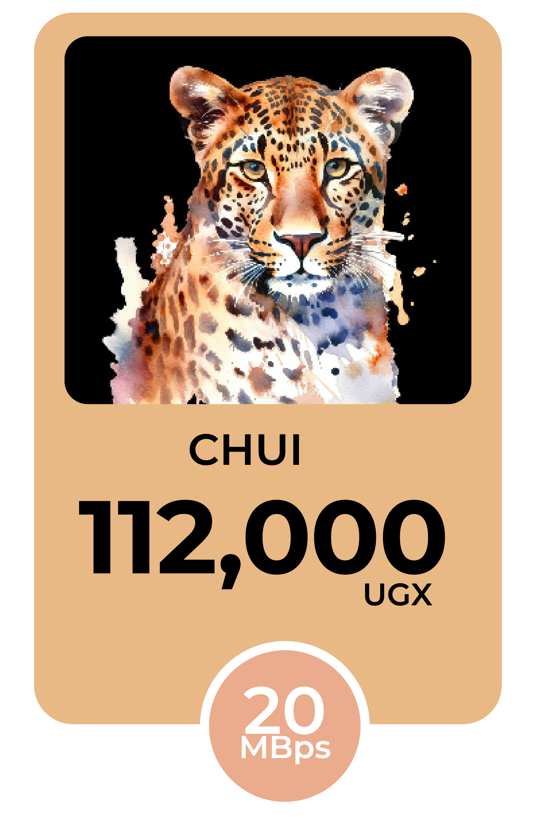 Savanna Fibre Internet – Uganda's Fastest Fiber Internet Provider