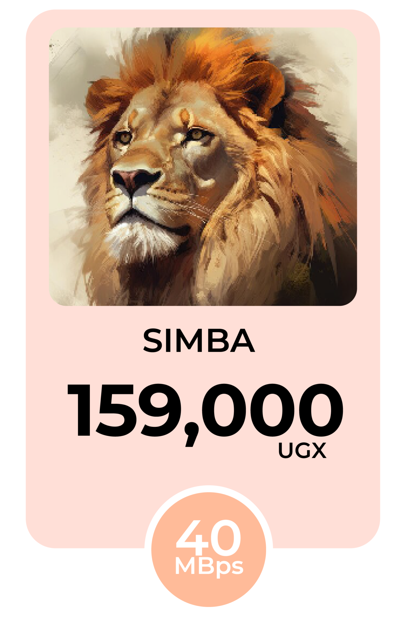 Savanna Fibre Internet – Uganda's Fastest Fiber Internet Provider