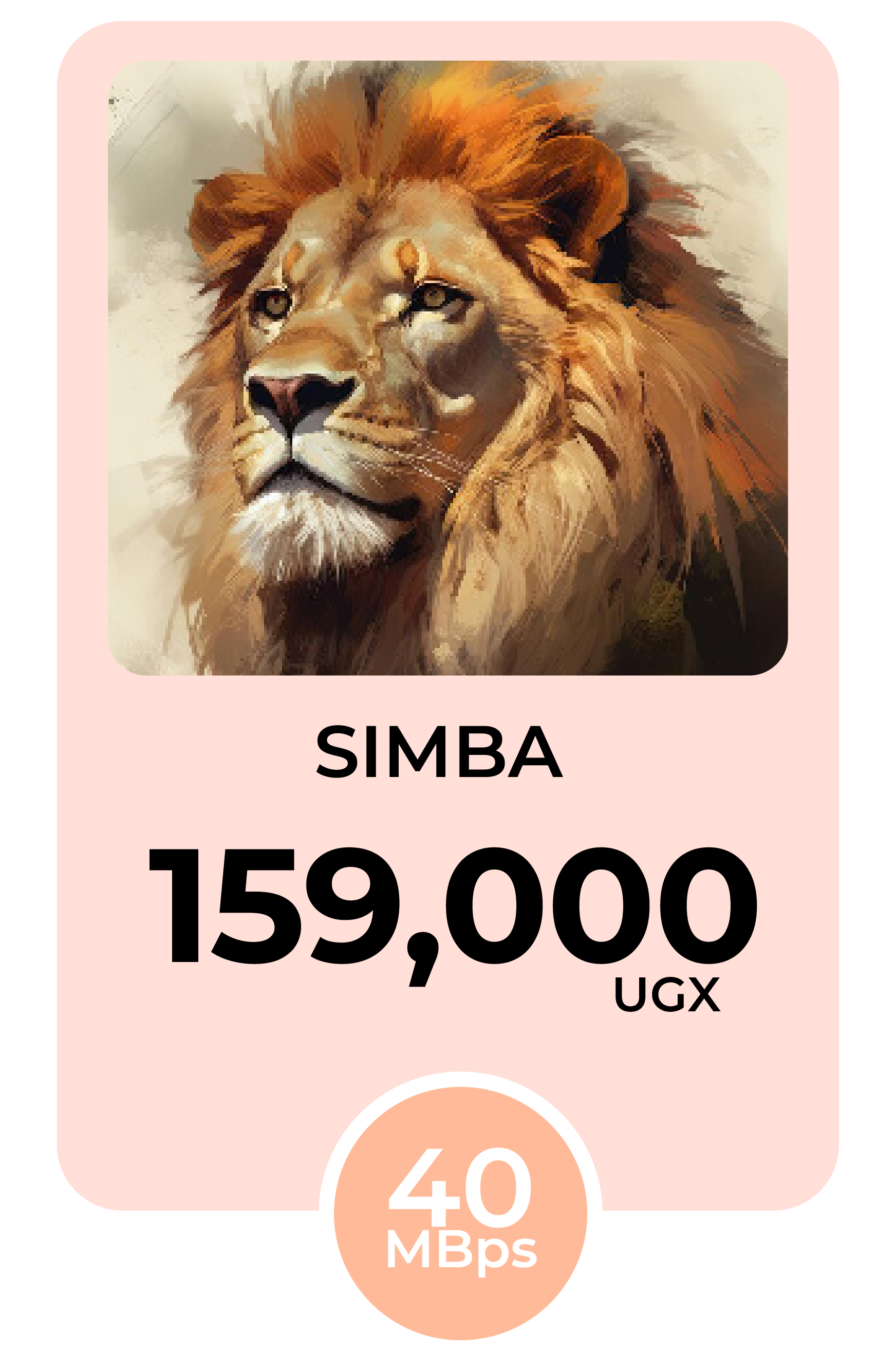 Savanna Fibre Internet – Uganda's Fastest Fiber Internet Provider