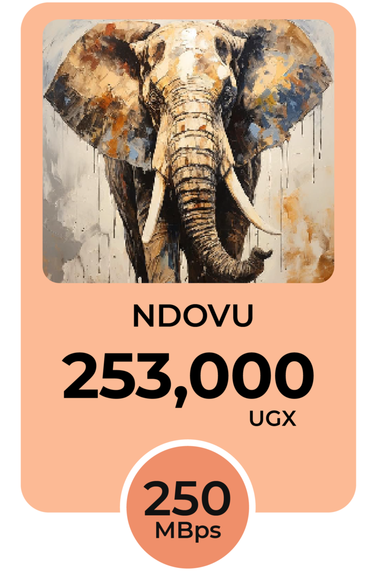 Savanna Fibre Internet – Uganda’s Fastest Fiber Internet Provider