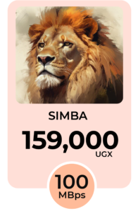 Savanna Fibre Internet – Uganda’s Fastest Fiber Internet Provider