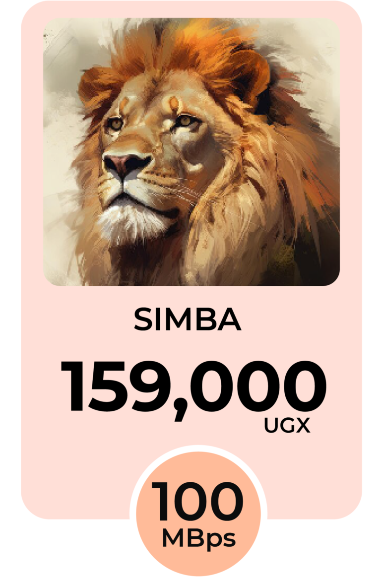 Savanna Fibre Internet – Uganda’s Fastest Fiber Internet Provider