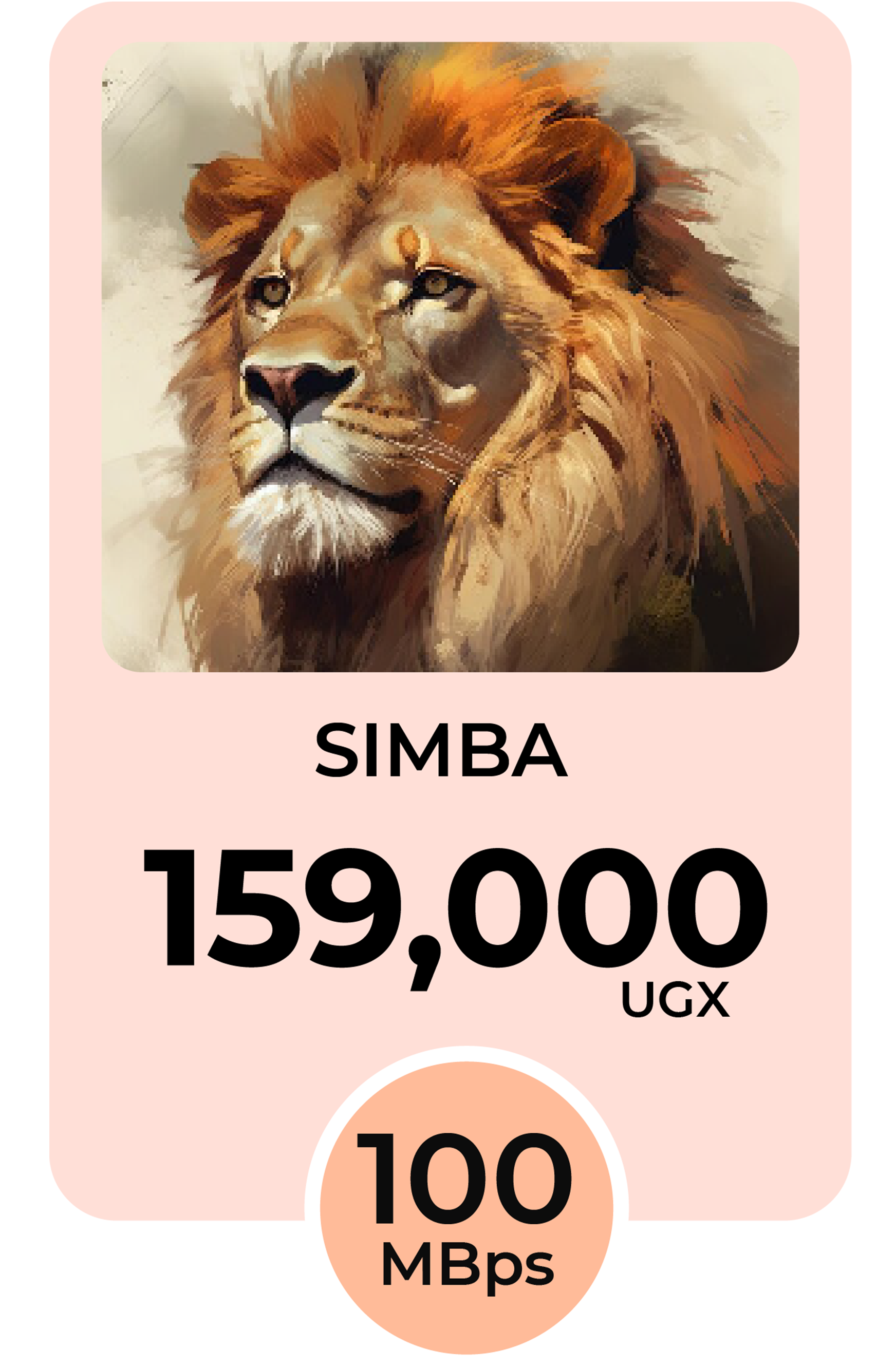 Savanna Fibre Internet – Uganda’s Fastest Fiber Internet Provider